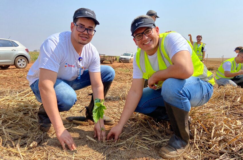 Em comemoração ao Dia da Árvore, colaboradores da Tereos plantam mil ...